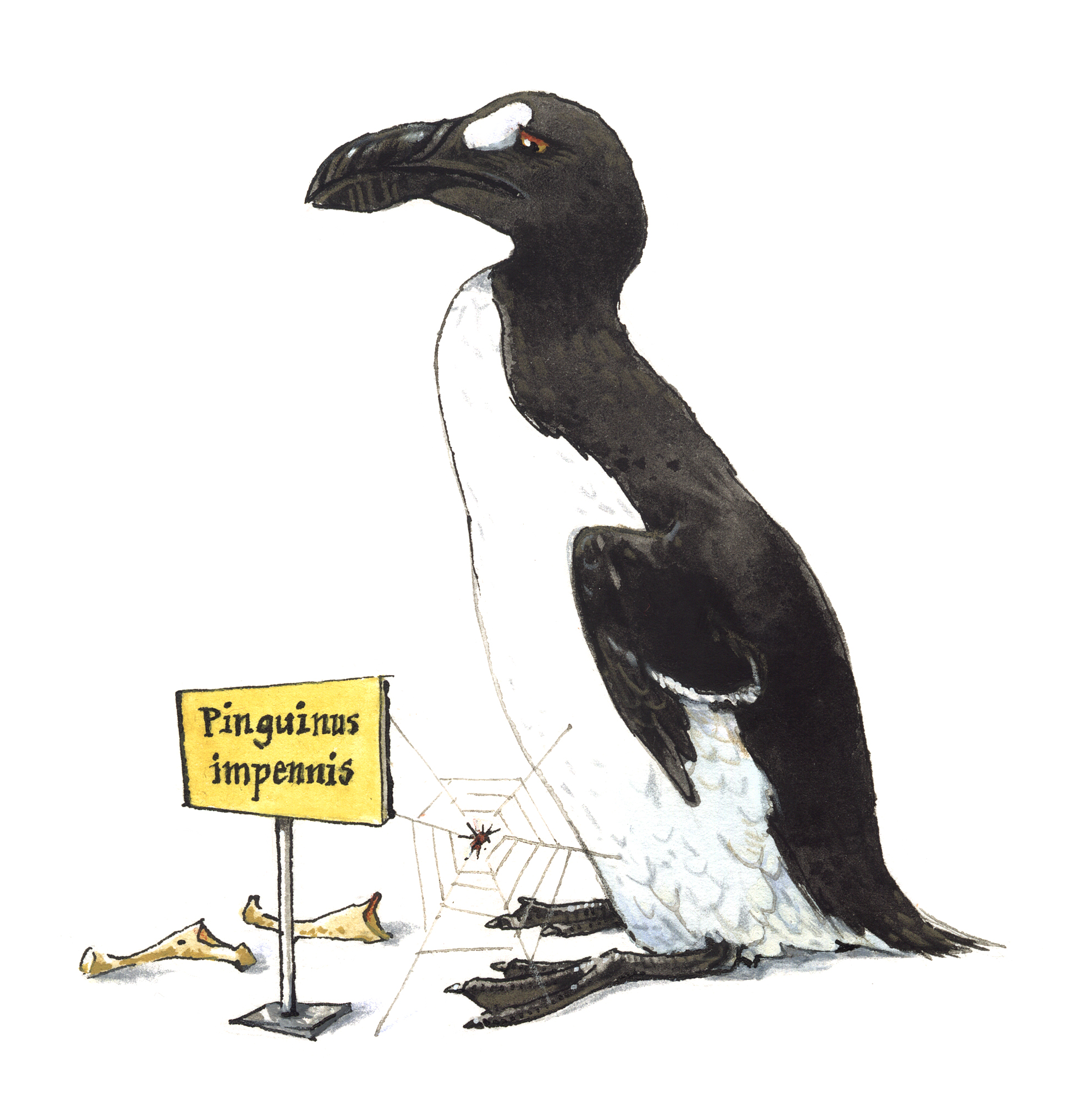 De reuzenkraak is liever lui